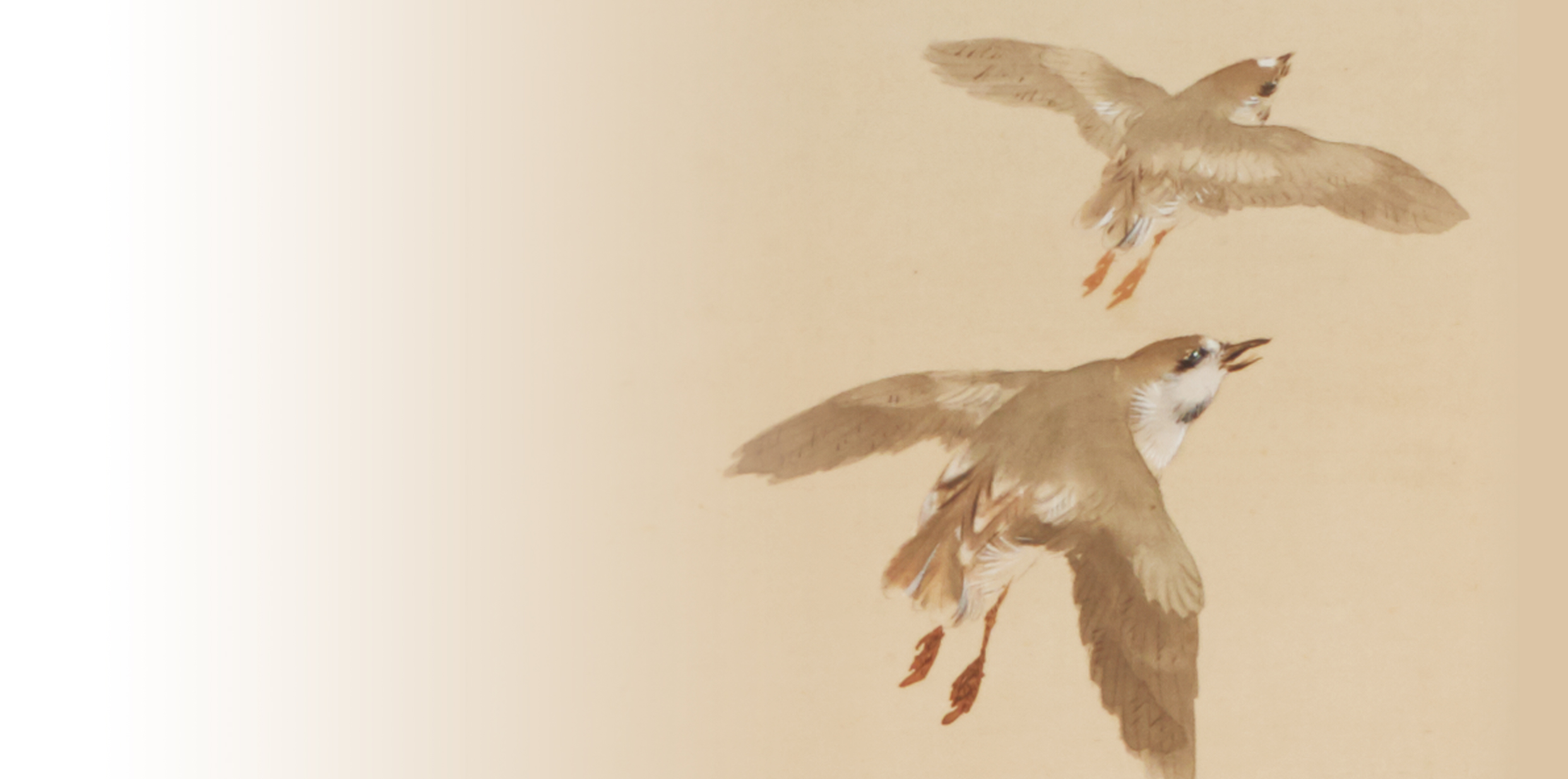 Plover Mascot: Plovers; Birds and Flowers Painting – Kashima Arts